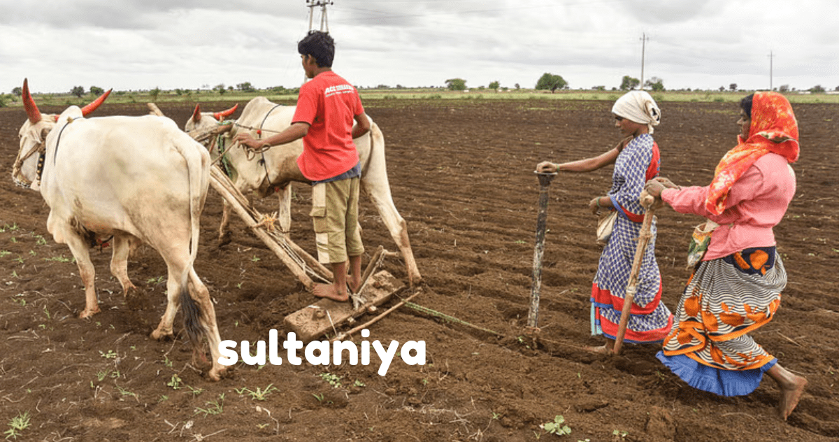 Sultaniya Village Guide: History, CHODA Festivals & Farming You’ll Love ...